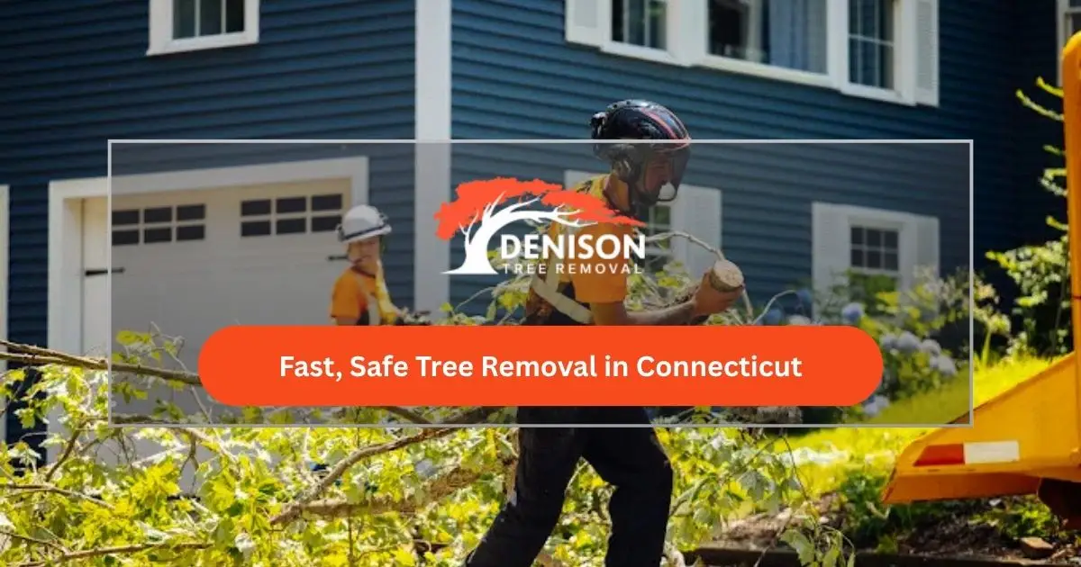 Careers | Denison Tree Removal
